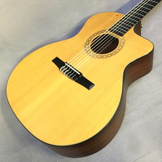 Taylor NS24ce Fall/LTD 2011年製 限定モデル エレガット 買取ました。デジマートにて¥ 98,000で販売中 ...